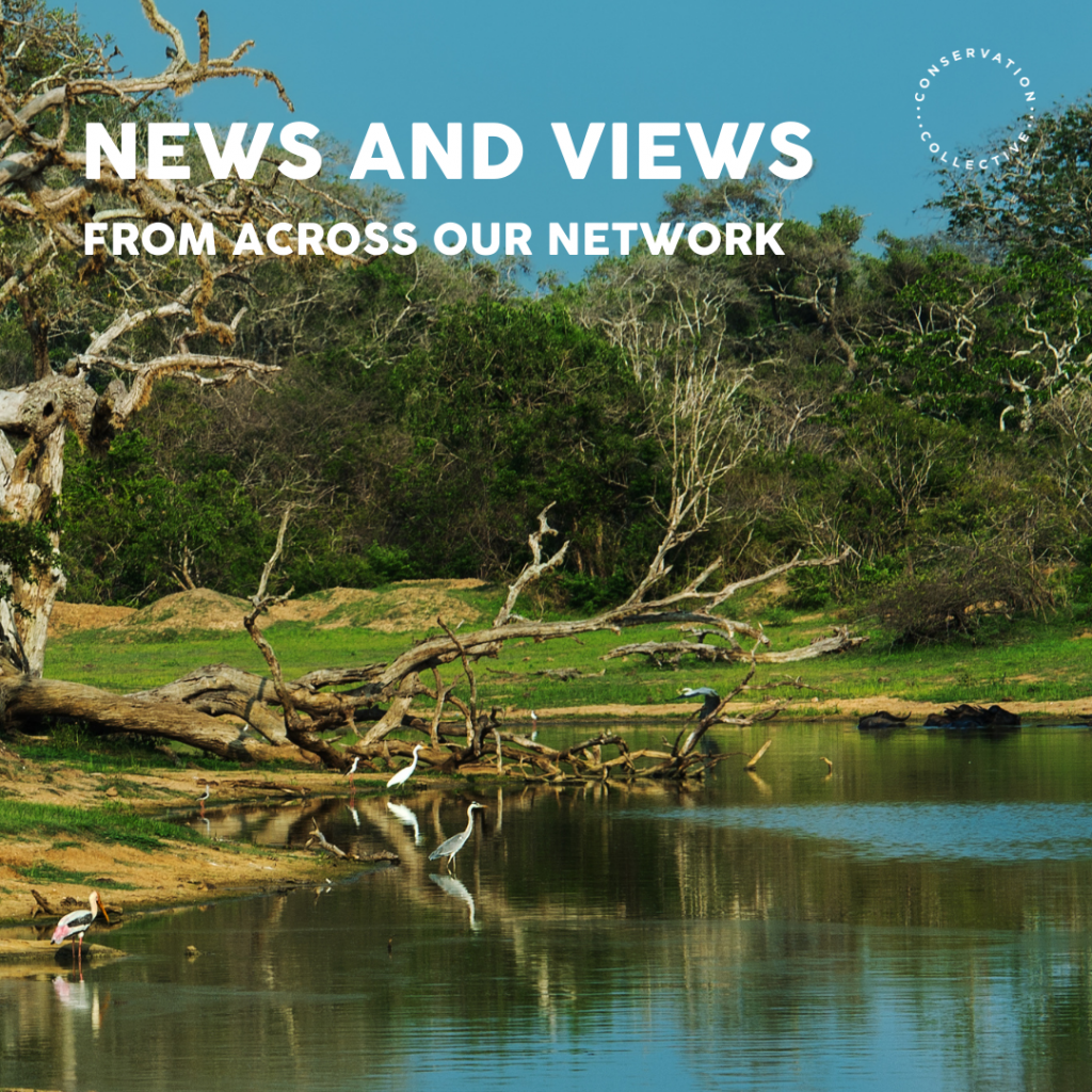 September Newsletter - Conservation Collective