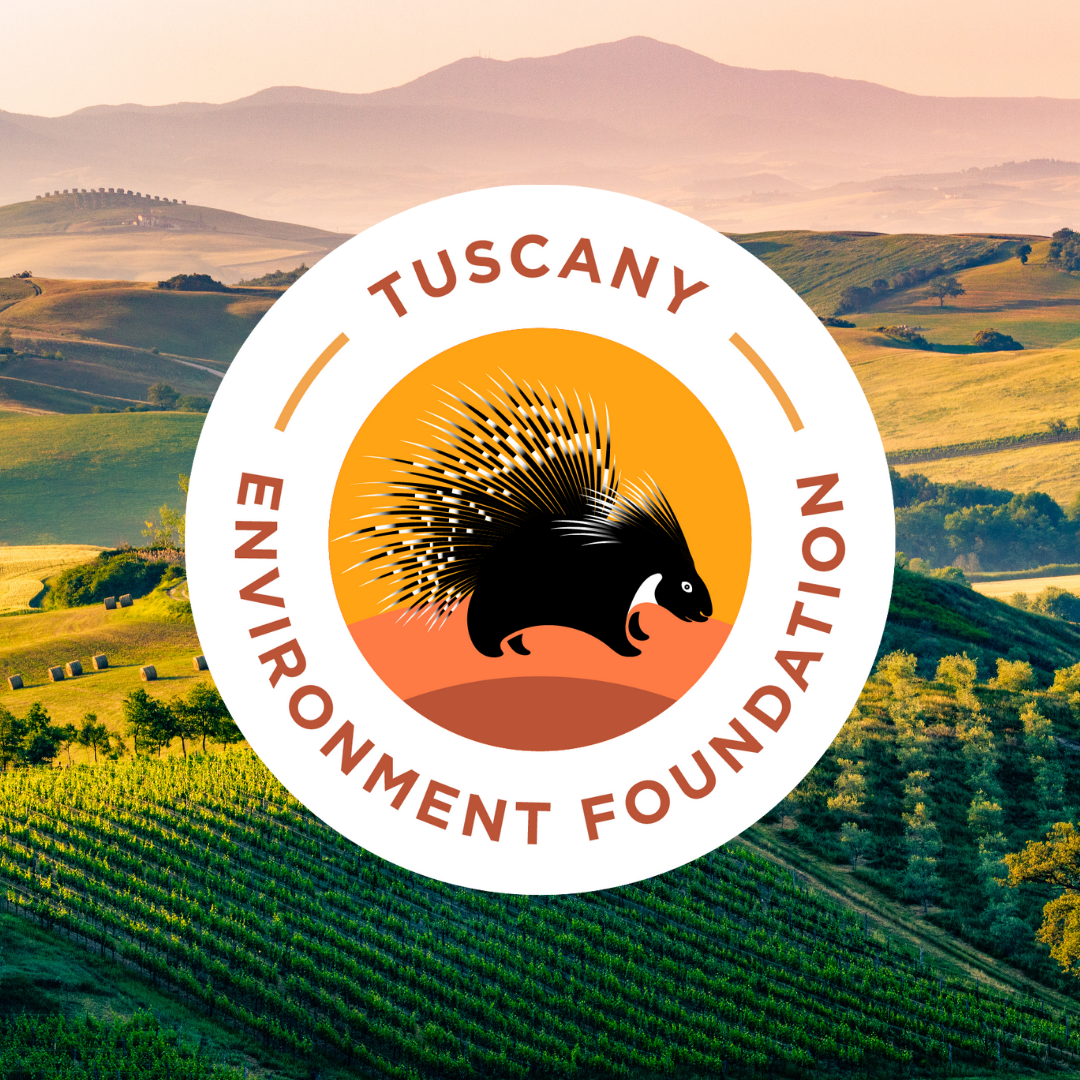 The Conservation Collective - Supporting Local Environmental Initiatives