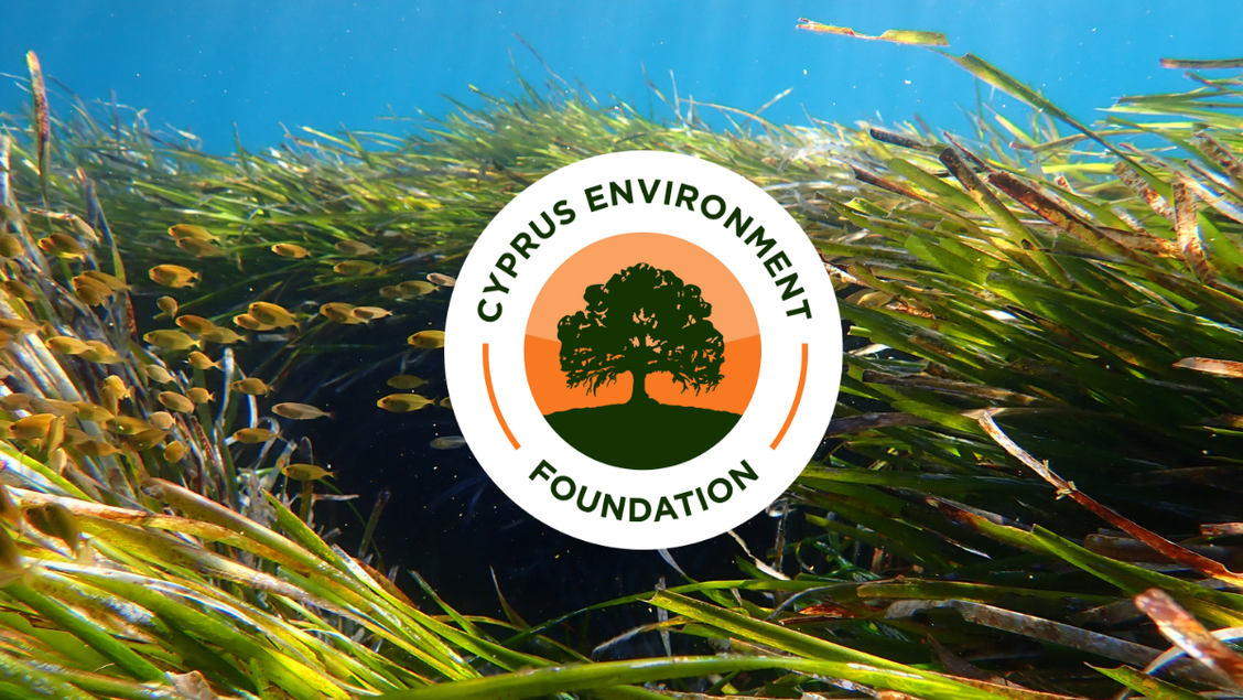 The Conservation Collective - Supporting Local Environmental Initiatives